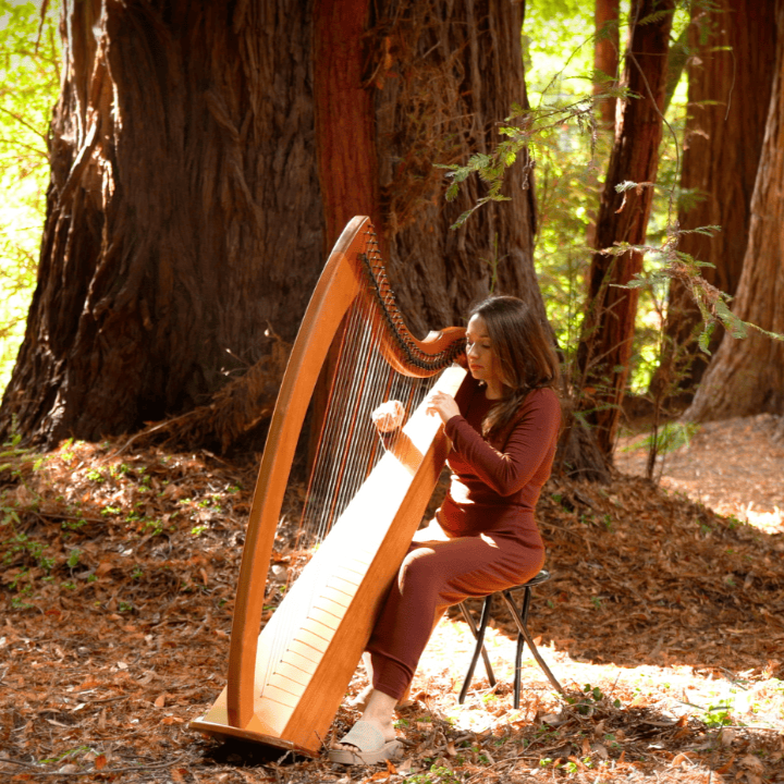 Music for the Redwoods – Sarah Bhalla