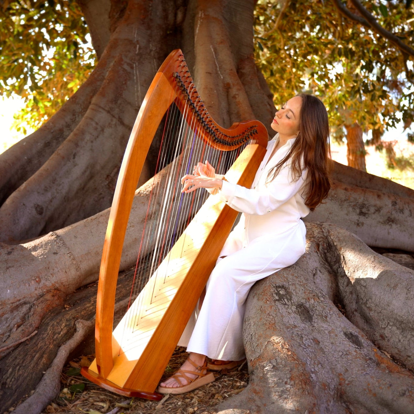 Tree of Life – Sarah Bhalla